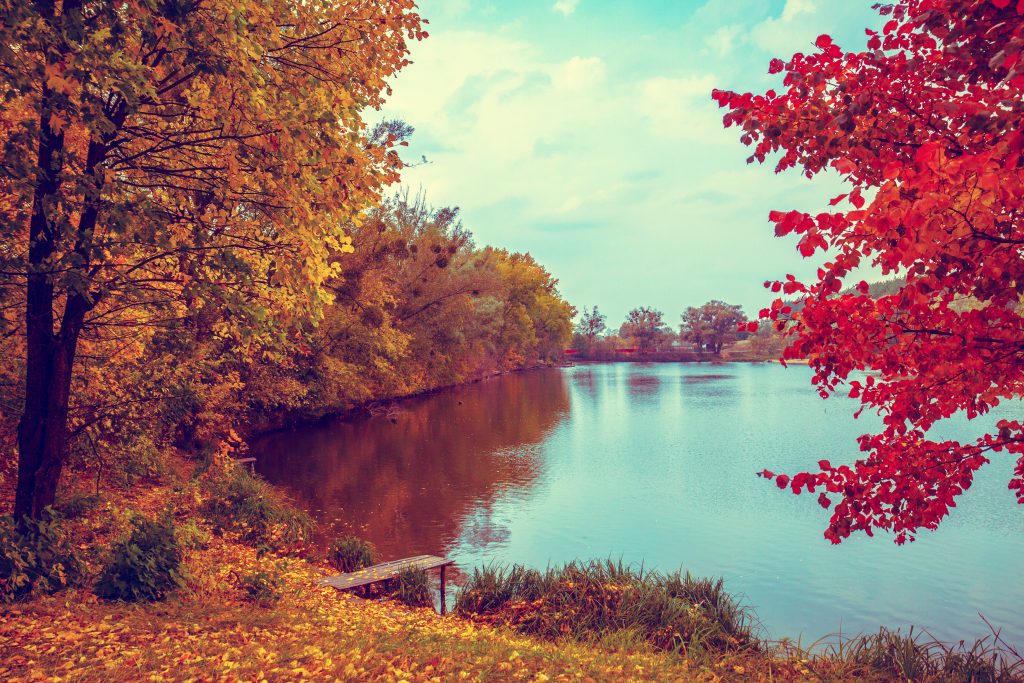 Water Safety - IX Power Clean Water