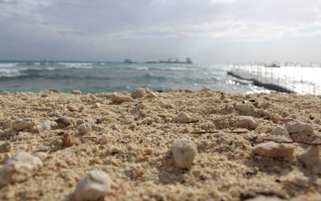 Enhancing Seawater Filtration for Nuclear Power Plants By Vaughn Hafner ...