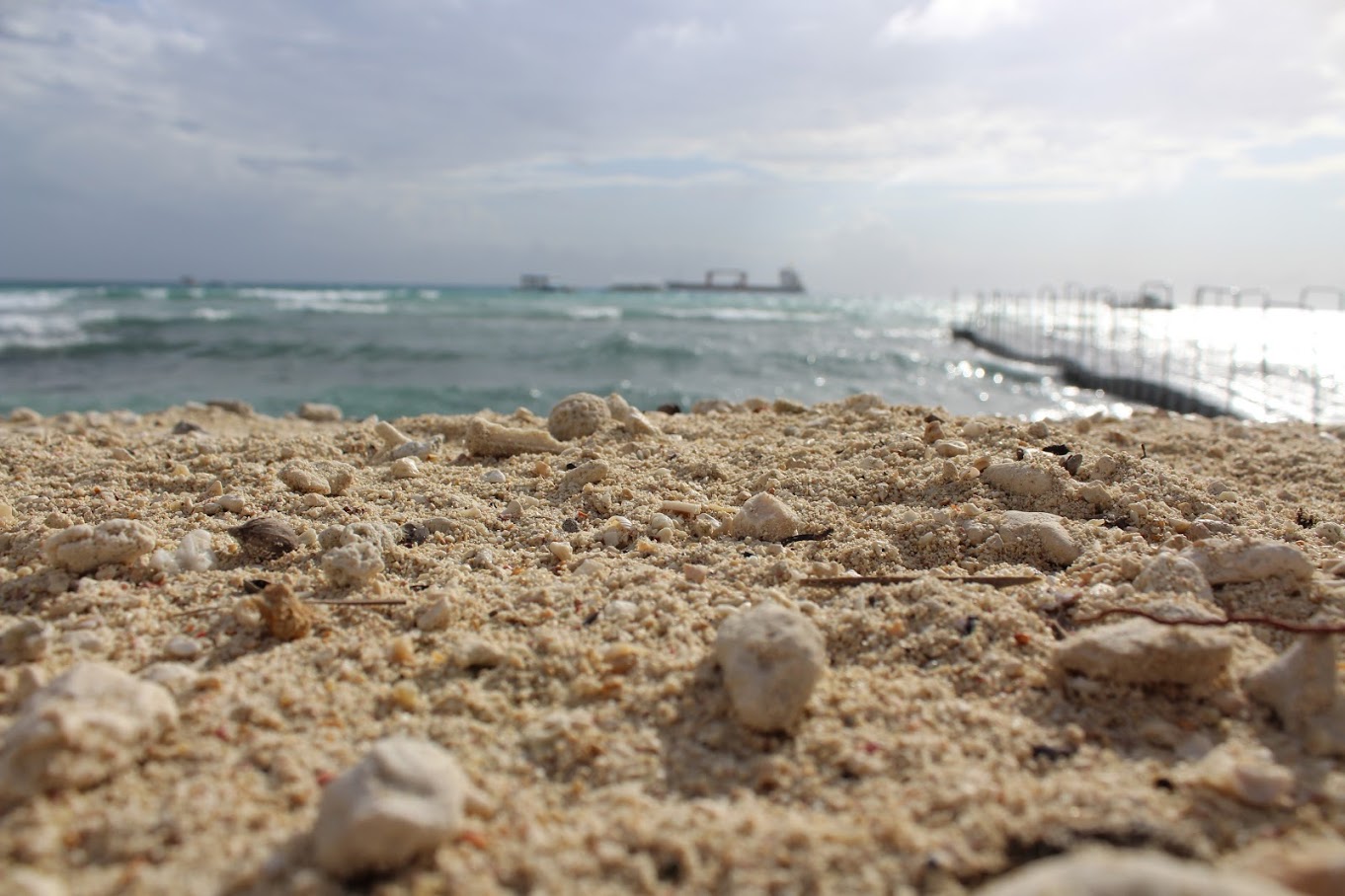 Enhancing Seawater Filtration for Nuclear Power Plants By Vaughn Hafner ...